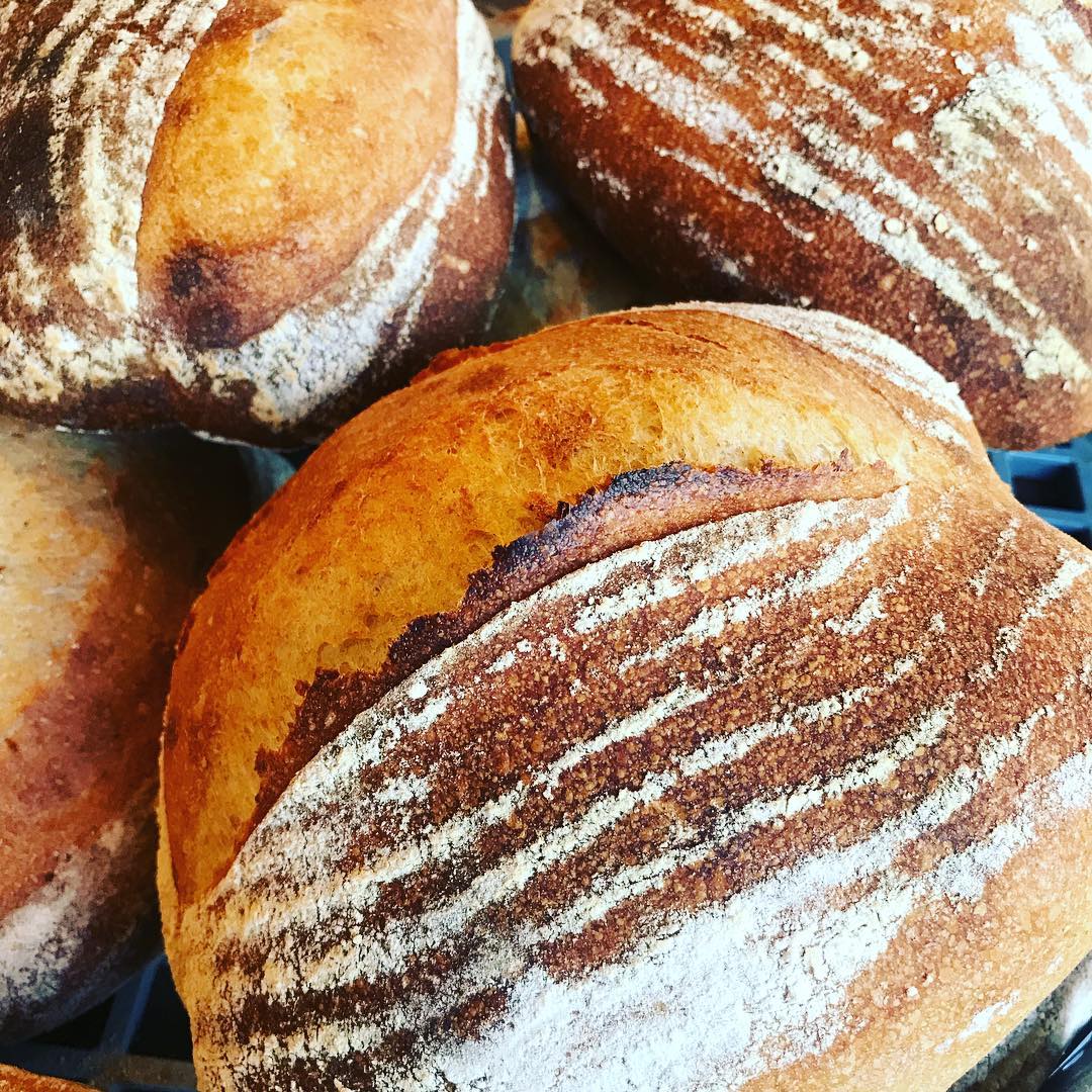 Sourdough Baking Courses – Willow Bakery